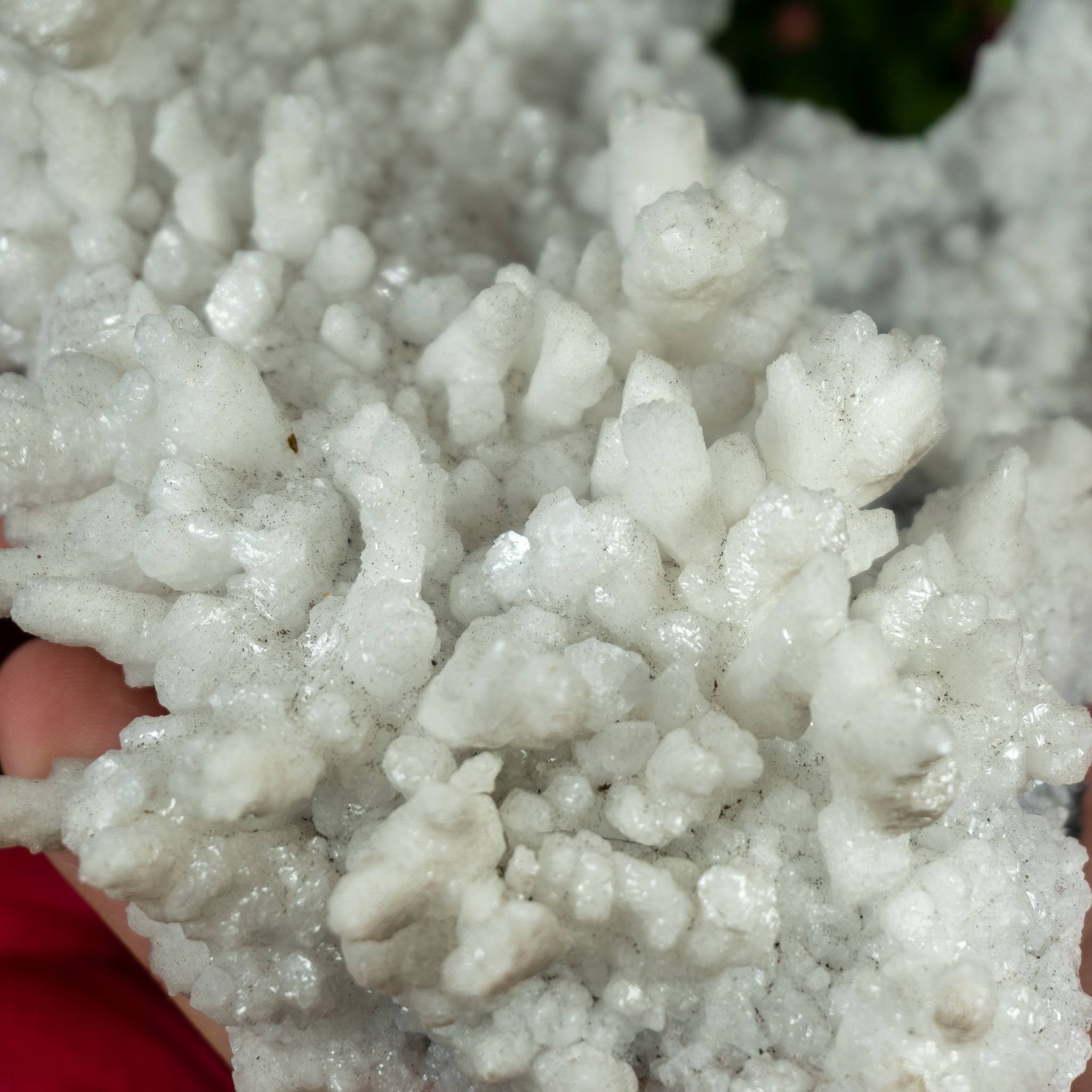 Raw White Aragonite #3 - The Crystal Council